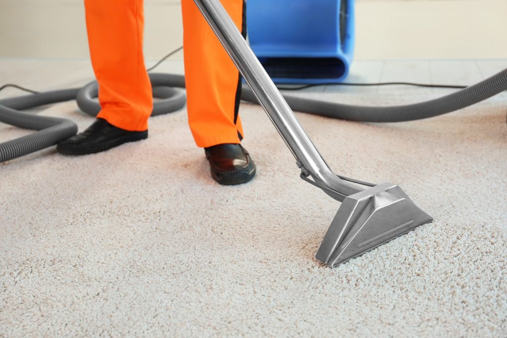 Understand Carpet Cleaning Costs | Steamatic of VA Peninsula